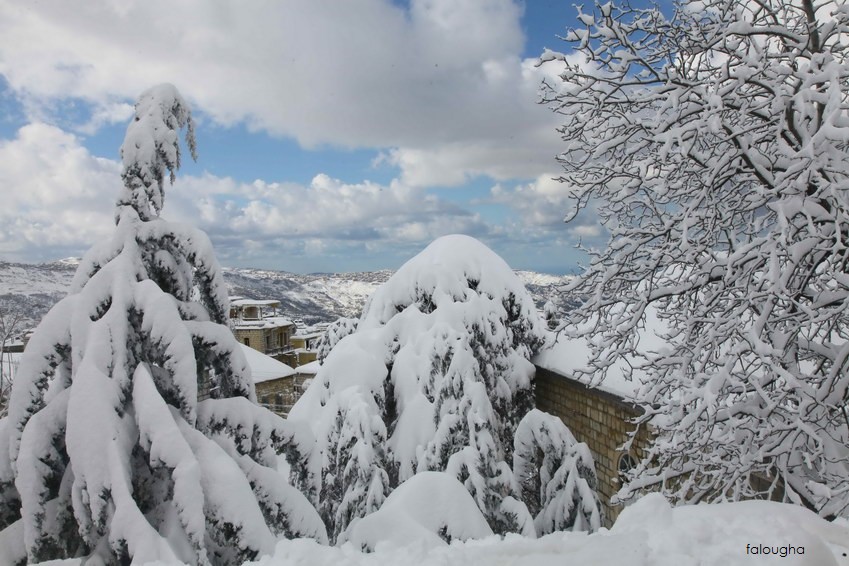 Falougha | Page 2 | SkyscraperCity Forum